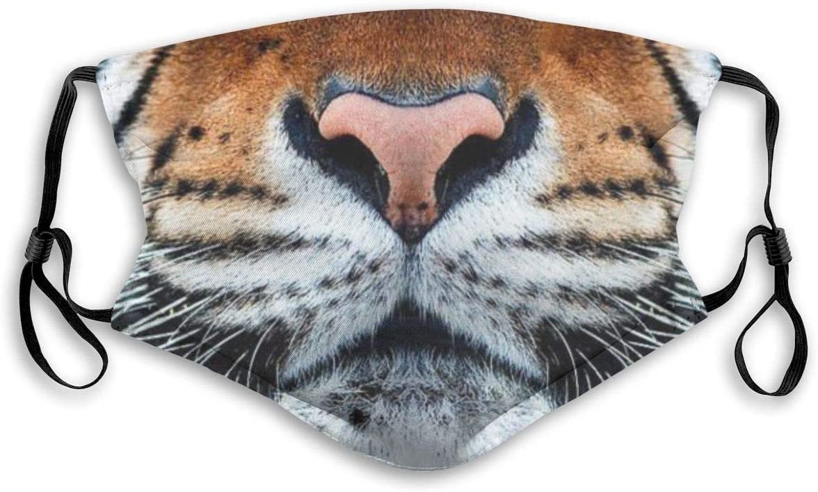 Animal-Themed Face Masks - A is for Aardvark